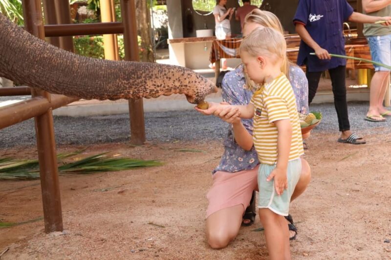 Samui: Feeding Program at the Elephant Home Nursery - Final Thoughts