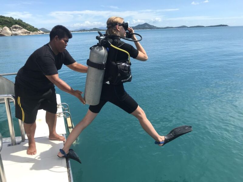 Samui: Intro Dive in Koh Tao - Introduction