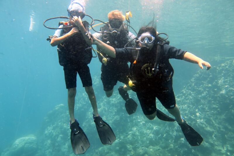 Samui: Intro Dive in Koh Tao - What to Expect on the Tour