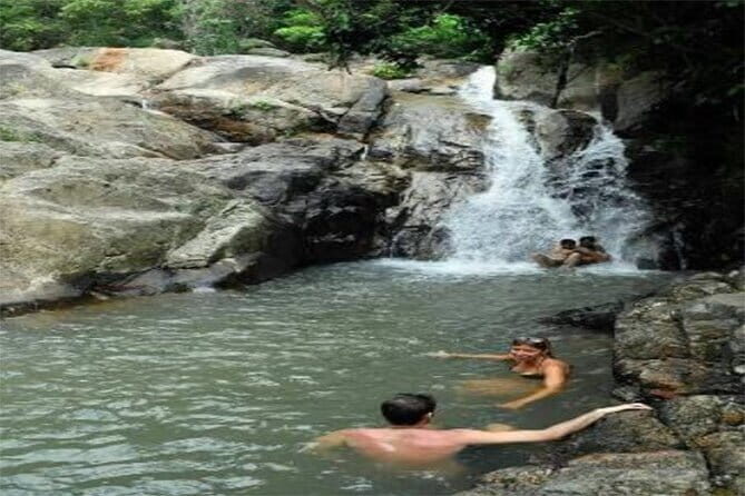 SAMUI: JUNGLE SAFARI by 4x4 Offroad (No Animal) - Why This Tour Offers Good Value