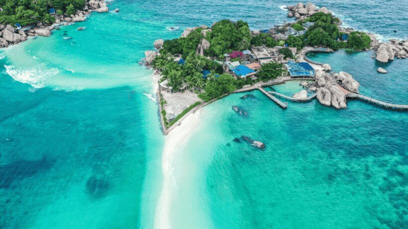 Samui Koh Tao & Koh Nang Yuan One Day Tour By Speed Boat - Key Points
