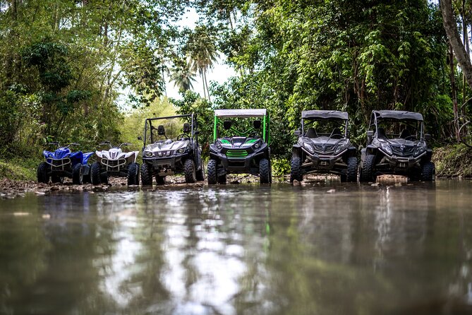 Samui Quad Motor ATV Tour - Handling Expectations and Review Insights