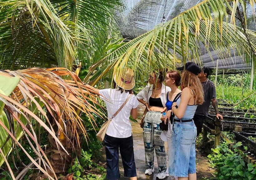Samut Sakhon: Gastronomy Farm to Table Cooking Experience - Exploring the Itinerary: A Deep Dive into Every Step