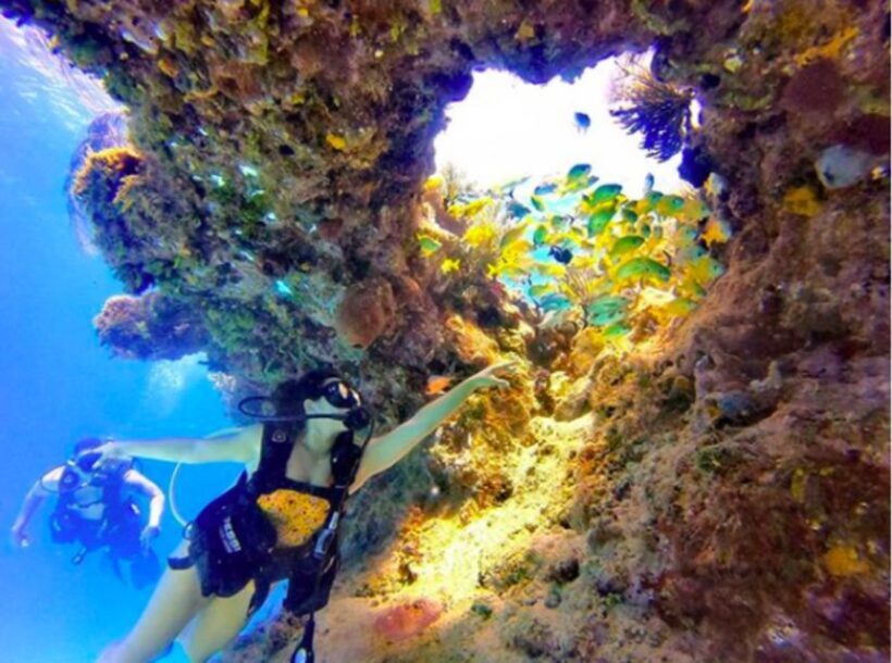 San Andres: SCUBA Diving Experience with Hotel Pickup - Authentic Experiences from Travelers