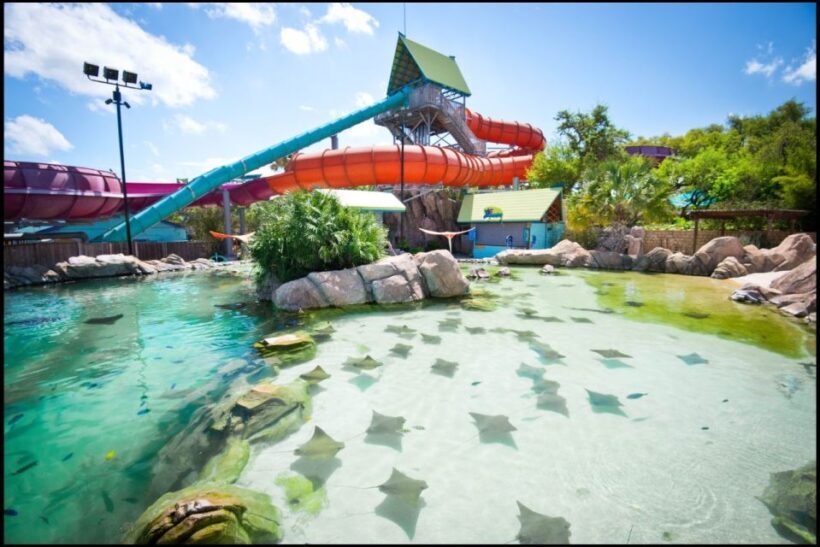 San Antonio: Aquatica Skip-the-Line Park Admission Ticket - Practical Tips for Your Visit