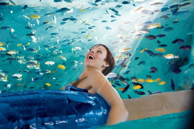 San Antonio: Aquatica Skip-the-Line Park Admission Ticket - The Sum Up