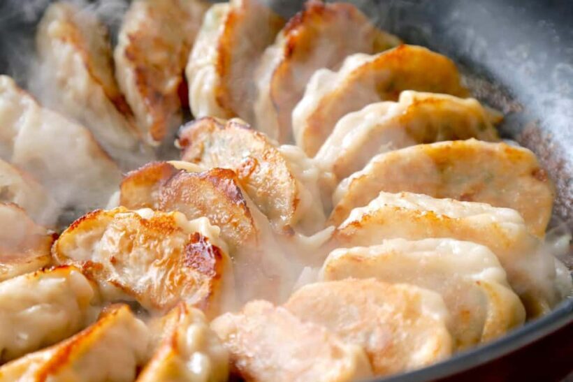 San Antonio: Asian Dumpling Cooking Class With Local Chef - Final Thoughts