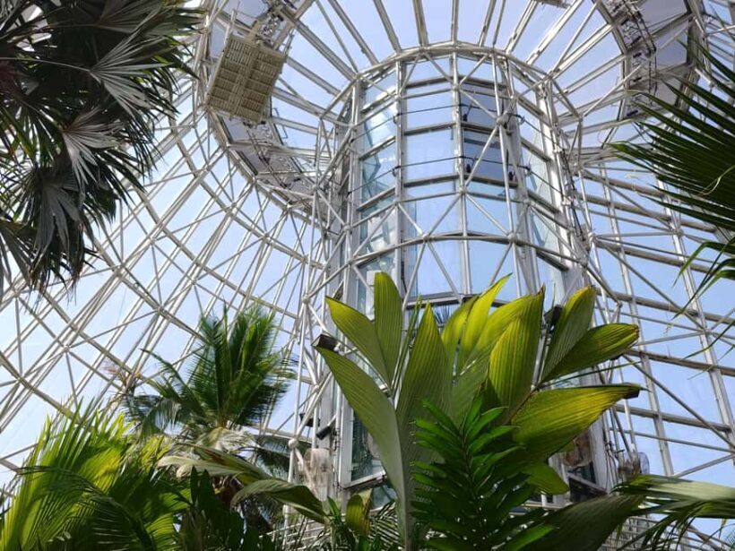 San Antonio: Botanical Garden Admission Ticket - Key Points