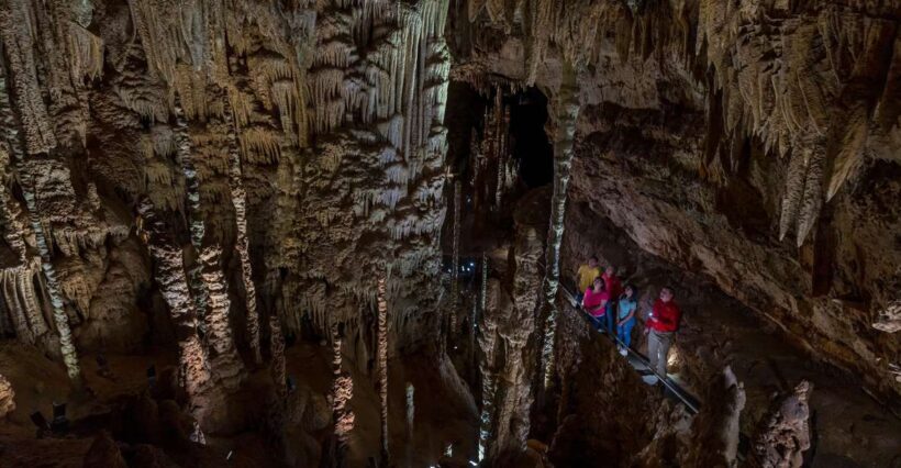 San Antonio: Discovery Tour at Natural Bridge Caverns - Practical Tips for Visitors