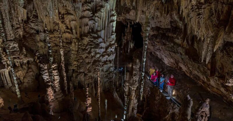 San Antonio: Discovery Tour at Natural Bridge Caverns - Key Points