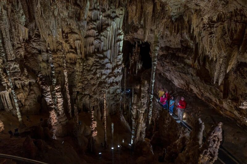 San Antonio: Discovery Tour at Natural Bridge Caverns - Practical Tips for Visiting