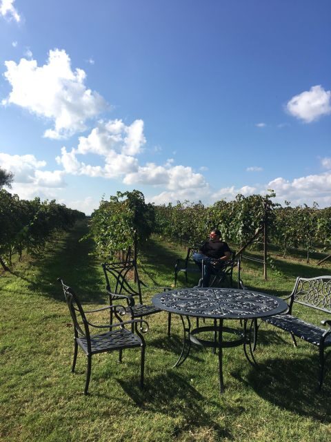 San Antonio: Fredericksburg Wineries Day Trip with Tastings - The Itinerary: What to Expect