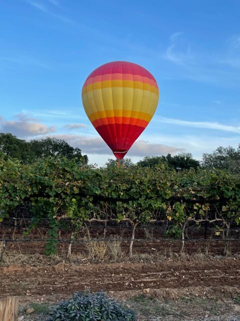 San Antonio: Fredericksburg Wineries Day Trip with Tastings - Pricing and Value
