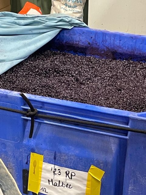 San Antonio: Fredericksburg Wineries Day Trip with Tastings - Authentic Experiences and Genuine Feedback from Travelers