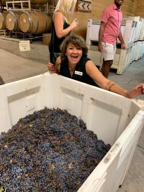 San Antonio: Fredericksburg Wineries Day Trip with Tastings - The Sum Up