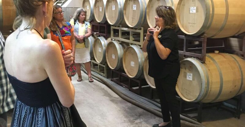 San Antonio: Fredericksburg Wineries Day Trip with Tastings - Introduction