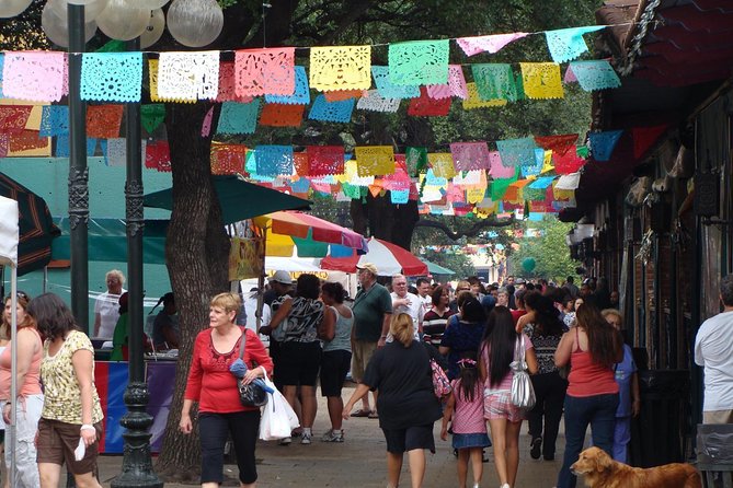 San Antonio Full-Day Historic City Tour - The Experience of the Guides and Travelers’ Feedback