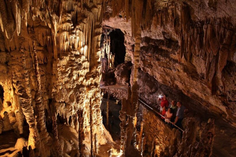 San Antonio: Go City Explorer Pass with 25+ Attractions - What to Expect from the San Antonio Go City Explorer Pass