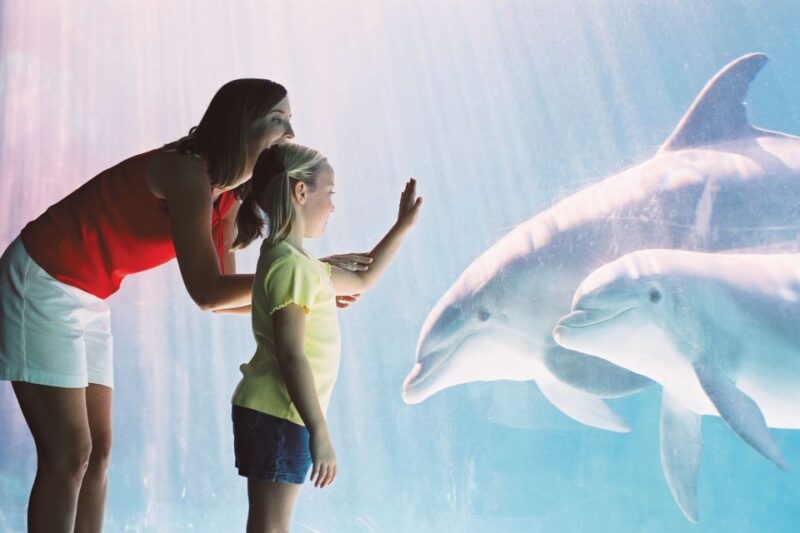 San Antonio: Go City Explorer Pass with 25+ Attractions - Final Thoughts