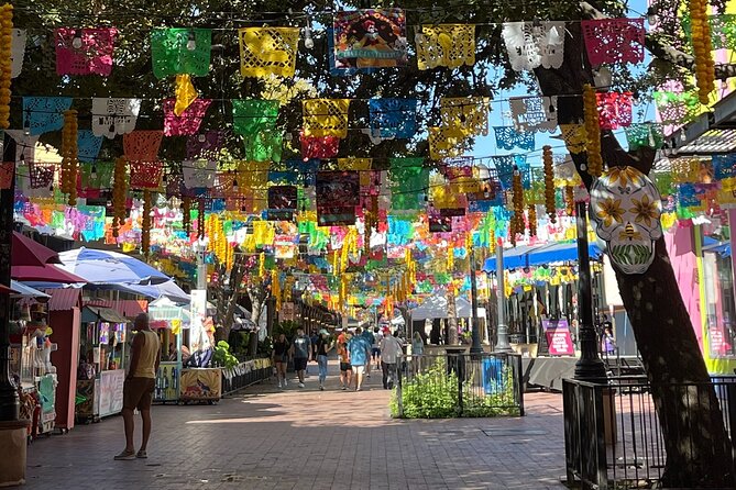 San Antonio Hop-On Hop-Off Trolley Tour - Customer Feedback and Reviews