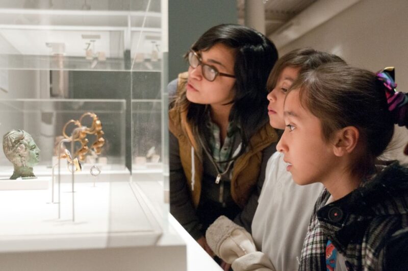 San Antonio: San Antonio Museum of Art Entry Ticket - Who Will Love This Experience?