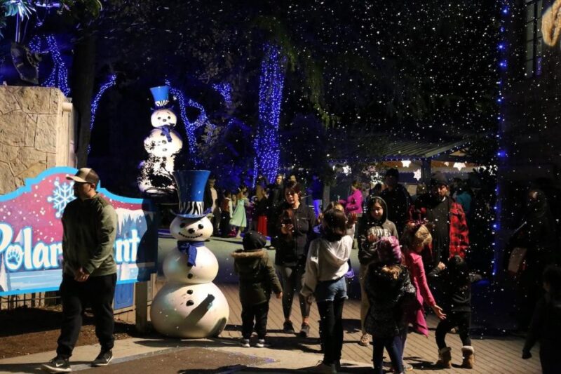 San Antonio: San Antonio Zoo Any Day Ticket - Exploring the San Antonio Zoo: A Practical Review for Curious Travelers