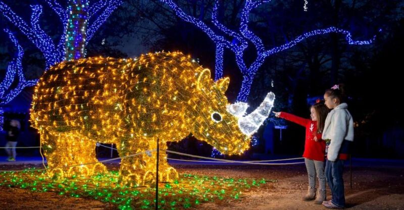 San Antonio: San Antonio Zoo Any Day Ticket - Entering the World of San Antonio Zoo