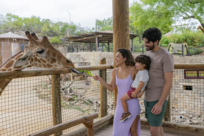 San Antonio: San Antonio Zoo Any Day Ticket - Why This Experience Works