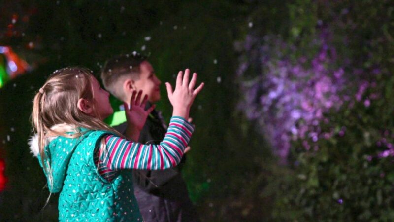 San Antonio: San Antonio Zoo Any Day Ticket - Final Thoughts