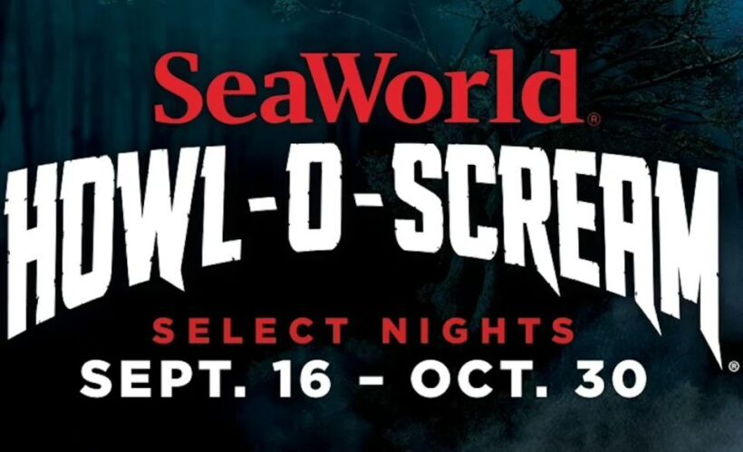 San Antonio: SeaWorld Skip-the-Line Park Admission Ticket - Combining Marine Life and Water Fun