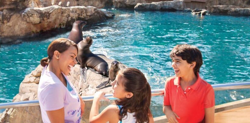 San Antonio: SeaWorld Skip-the-Line Park Admission Ticket - The Rides: For Thrill-Seekers and Families