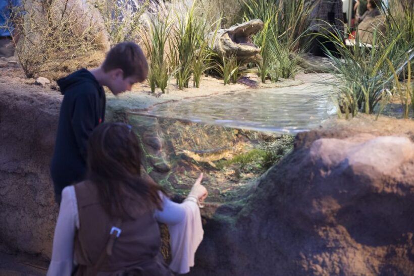 San Antonio: Witte Museum Admission Ticket - The Dinosaur Gallery: A Paleontological Highlight
