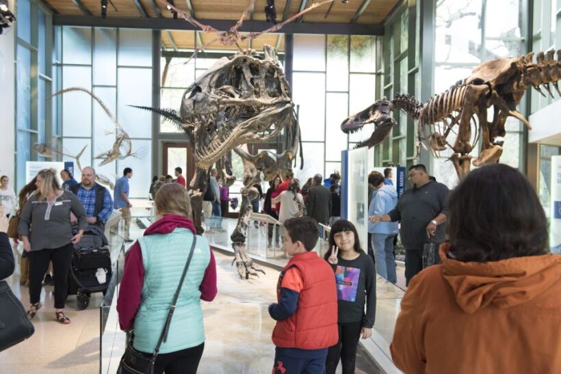 San Antonio: Witte Museum Admission Ticket - The Art and Nature Exhibits