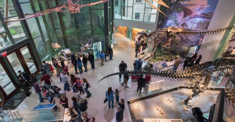 San Antonio: Witte Museum Admission Ticket - Key Points