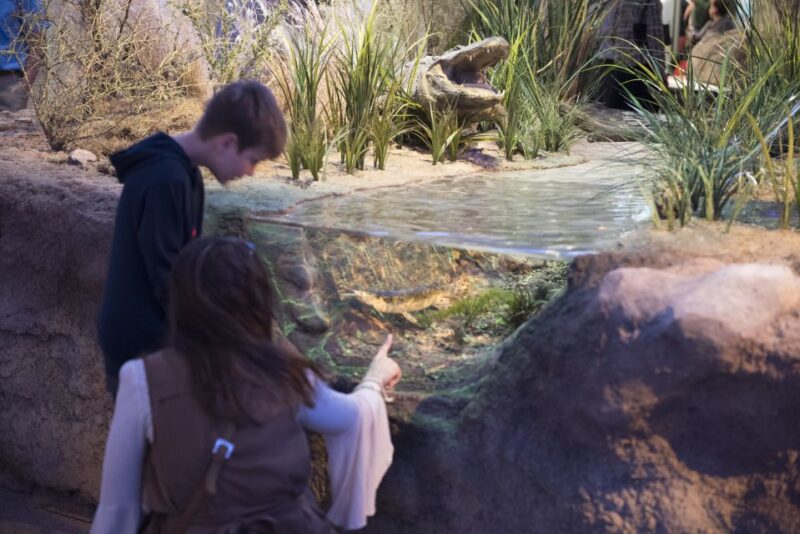 San Antonio: Witte Museum Admission Ticket - Who Will Love the Witte Museum?