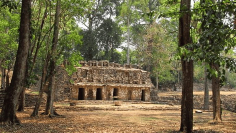 San Cristobal: 3 Days Expedition of North Lacandona Jungle - Exploring the Heart of Chiapas: What This Tour Delivers