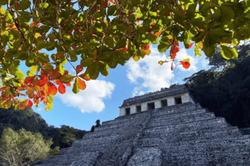 San Cristobal: 3 Days Nature Tour Southern Selva Lacandona - Exploring the Highlights of the 3-Day Adventure