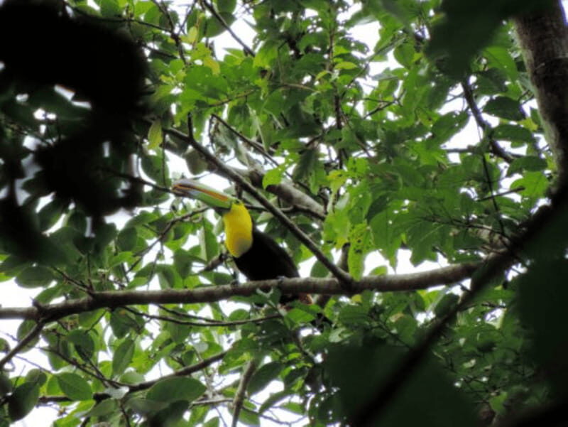 San Cristobal: 4 Days Nature Tour in the Lacandon Jungle - Exploring the Itinerary: What You Can Expect