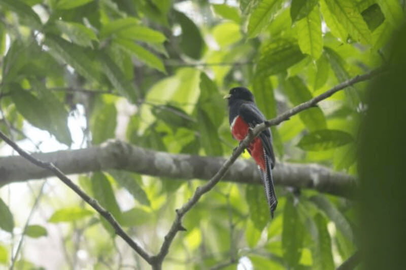 San Cristobal: 4 Days Nature Tour in the Lacandon Jungle - Practical Considerations