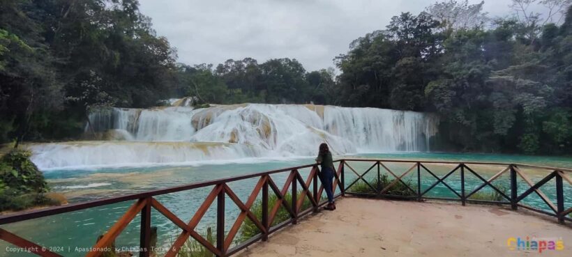 San Cristobal: Agua Azul, Misol Ha & Palenque Experience - An Honest Look at the Experience