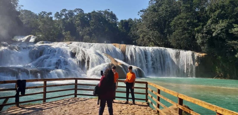 San Cristobal: Agua Azul, Misol Ha & Palenque Experience - Who Should Book This Tour?