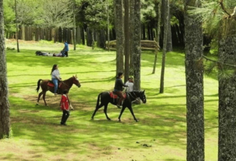 San Cristóbal: Arcotete Ecotourism Park & Rancho Nuevo Caves - What to Expect in Terms of Logistics and Activities