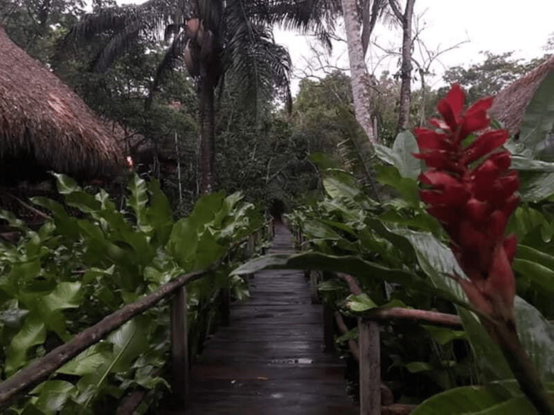 San Cristobal: Coffee Tour in the Mountains of Chiapas - An Authentic Look at Chiapas Coffee Culture