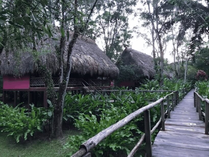 San Cristobal: Coffee Tour in the Mountains of Chiapas - The Sum Up