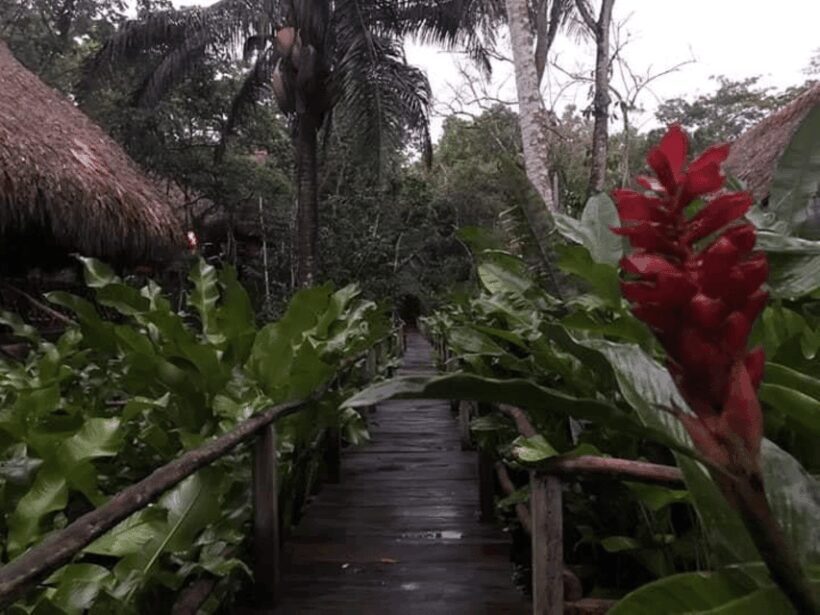 San Cristobal: Coffee Tour in the Mountains of Chiapas - FAQ