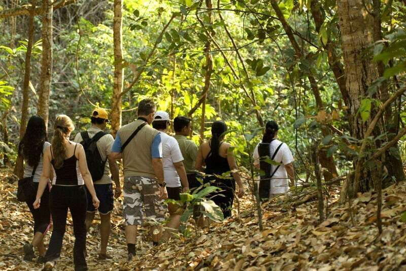 San Cristóbal: Lacandona Jungle 4 Days Tour - Key Points