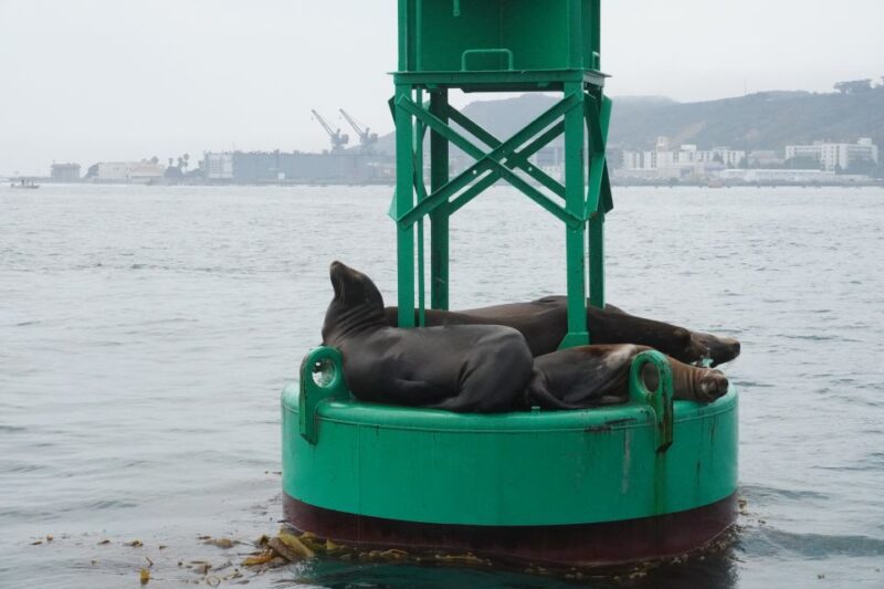 San Diego: 2 Person Private Sailing Cruise with Snacks - Why This Experience Offers Good Value