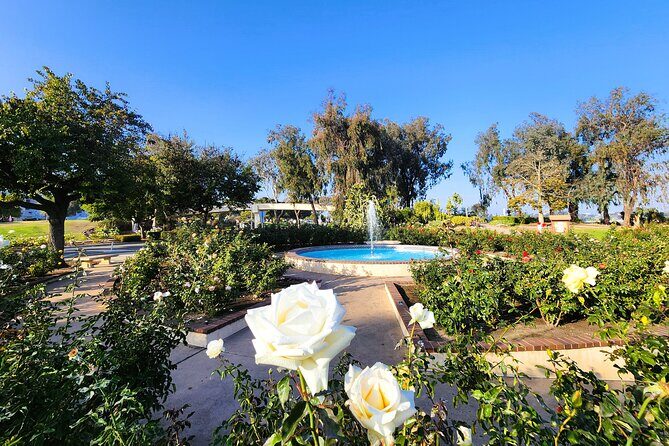 San Diego Balboa Park Walking Tour - The Practical Side: What to Expect