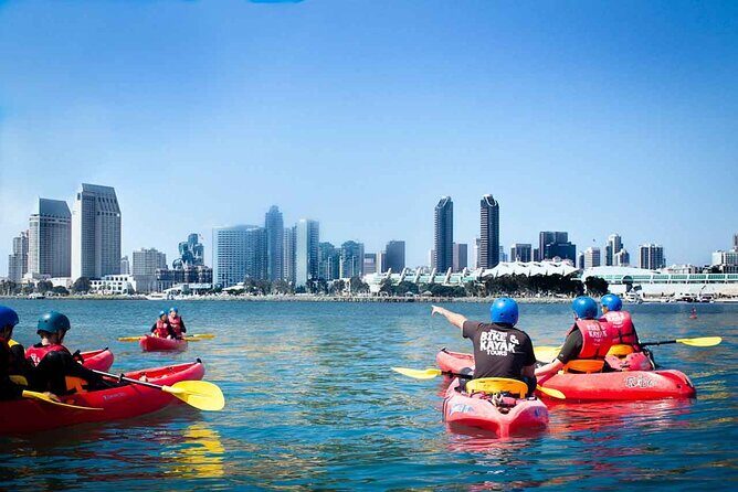 San Diego Bay 1.5-Hour Guided Kayak Tour in Coronado - Key Points