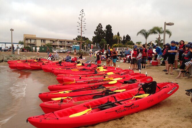 San Diego Bay 1.5-Hour Guided Kayak Tour in Coronado - Practical Tips for Participants